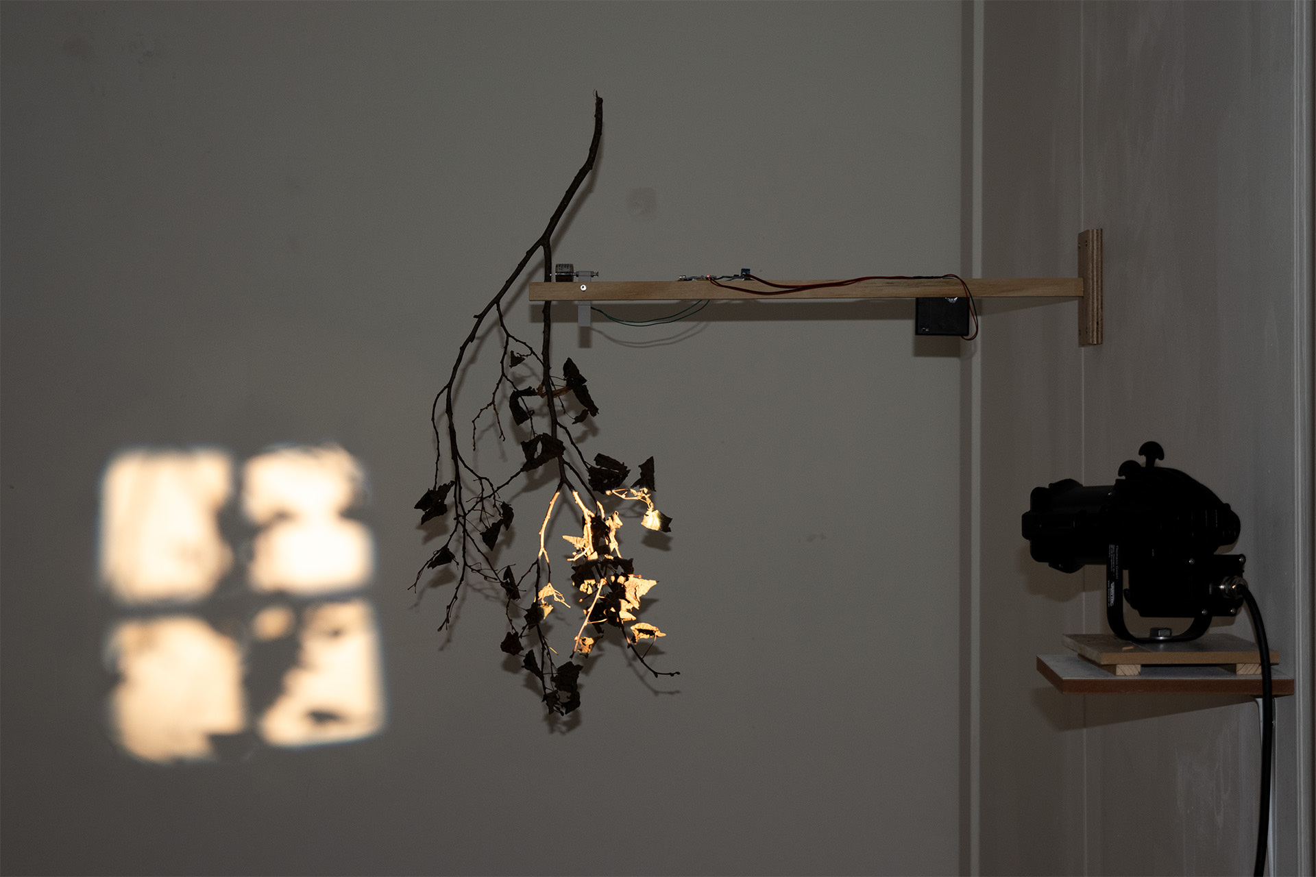 RSA Degree Show 2026
