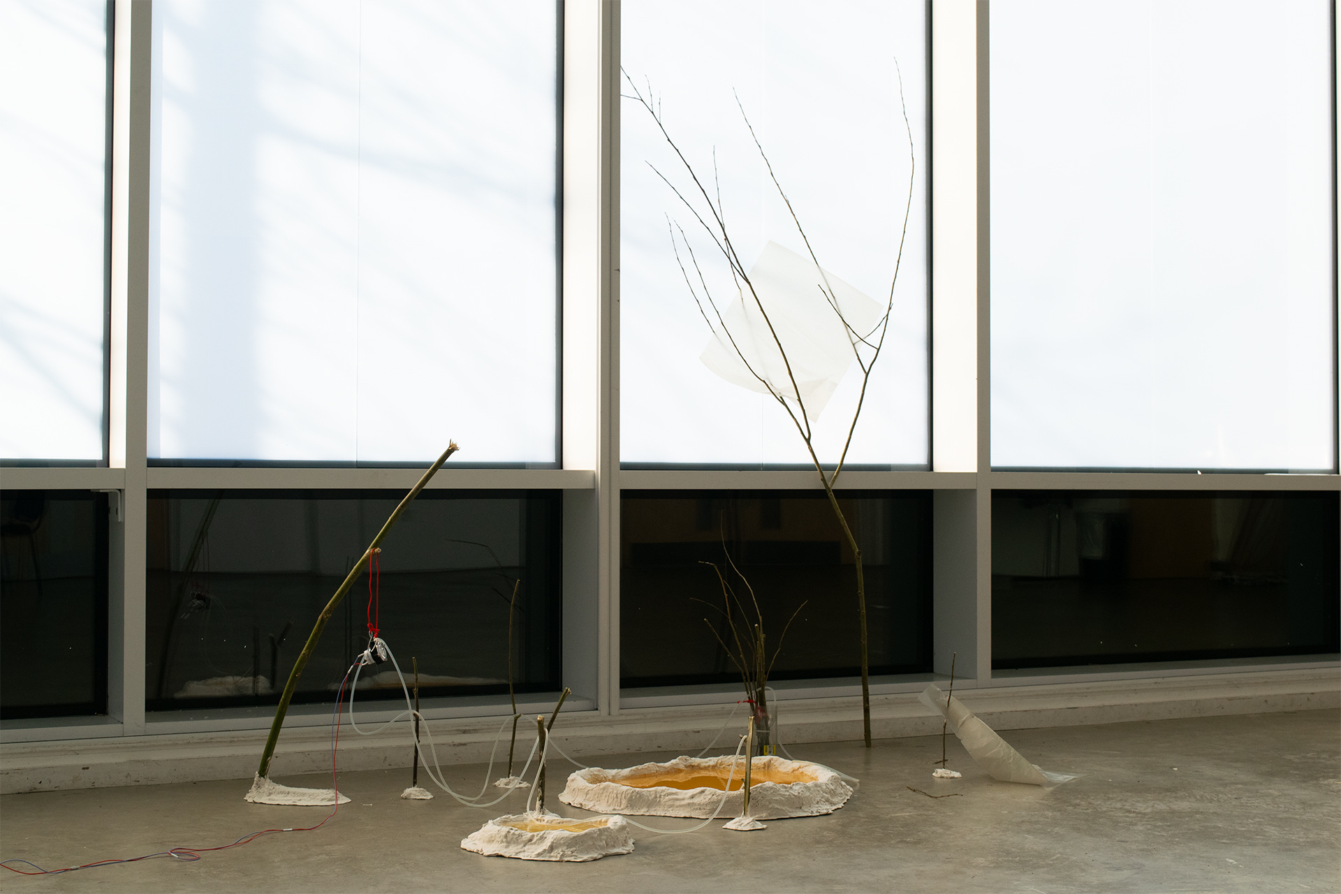 RSA Degree Show 2026